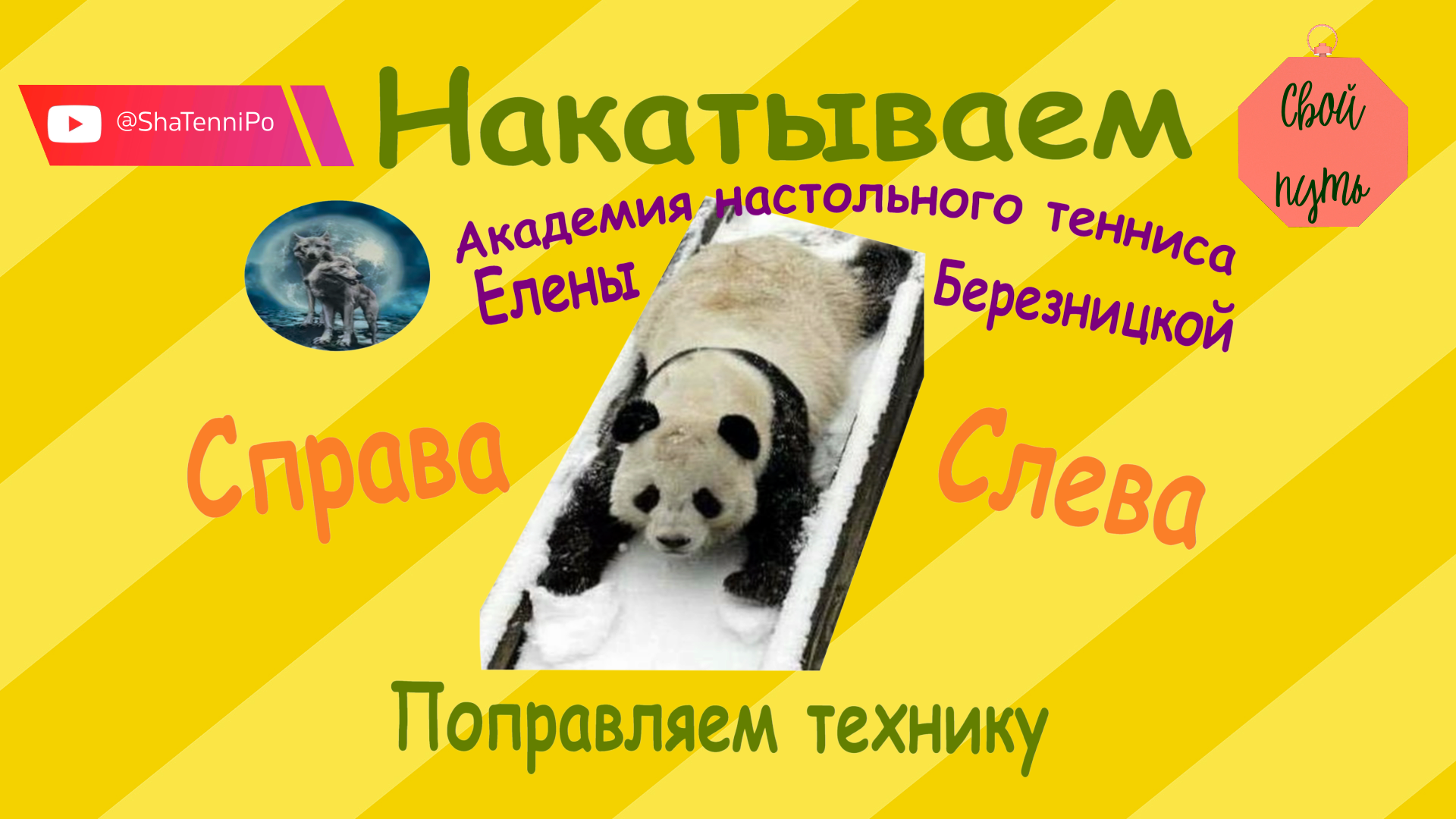 Накатываем мяч. Поправляем технику.#game #training #shatennipo #exercise