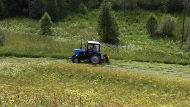 Сенокос в музее "Малые Корелы"