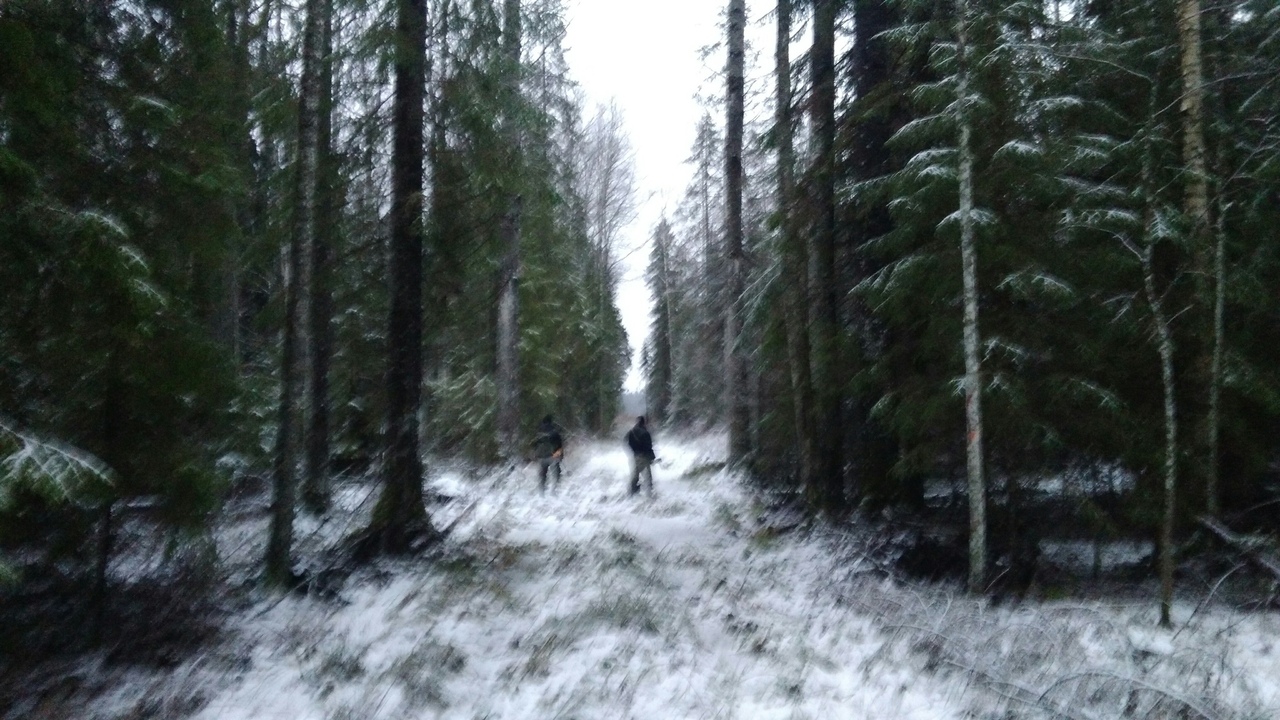 Коп по войне. ФИЛЬМ №4. Военная археология. Зимний выход.