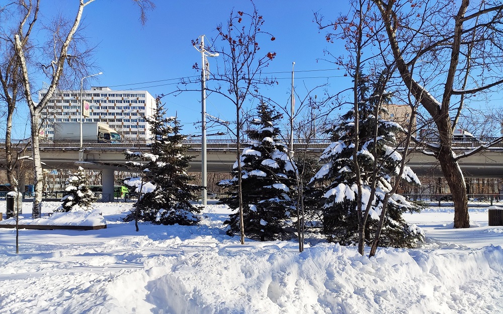 Снежный город , 24. 12. 2022. Владивосток