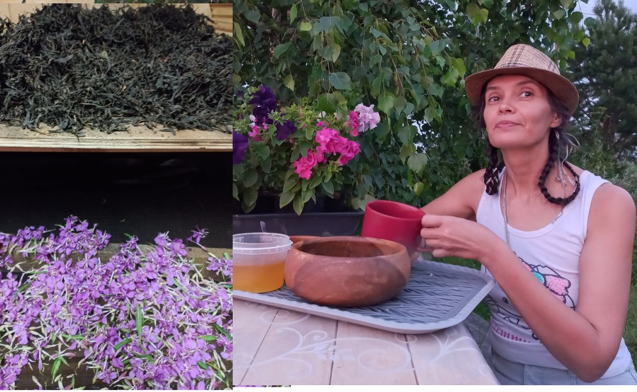 Наша заготовка иван-чая ферментированного от сбора до конечного продукта. Наше оборудование.