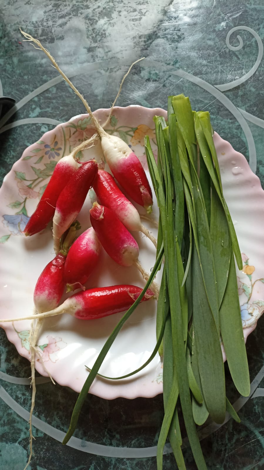 Весенний 🌱 урожай.