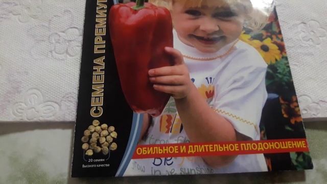 Посадка перца Гиганто Росса F1 в пеленки