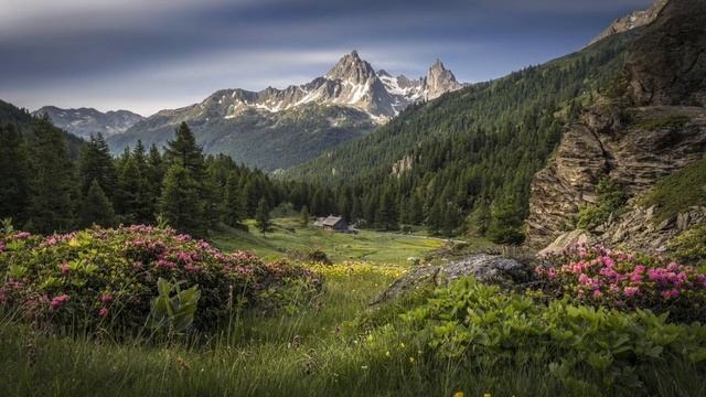 Bill Connor · Jay Price. First Days of Spring