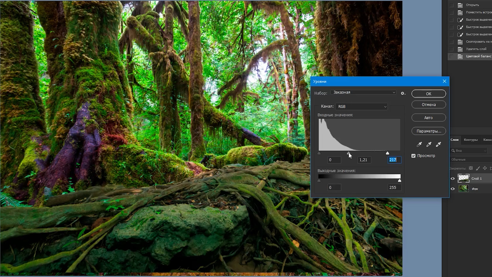 Фотошоп ночной лес