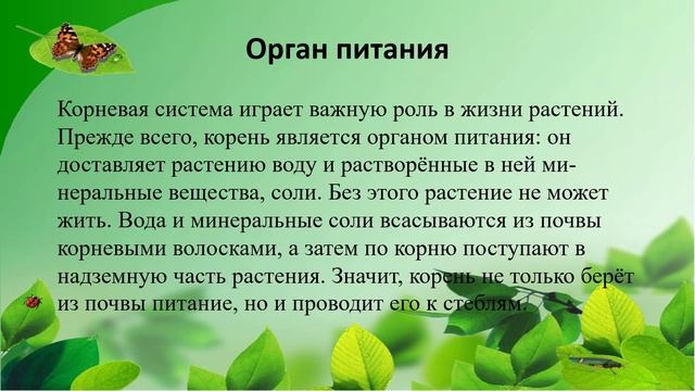 Значение корня биология 7 кл.mp4