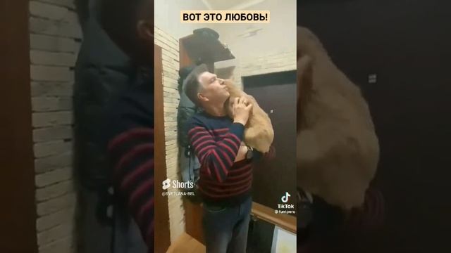 ? ВОТ ЭТО ЛЮБОВЬ, ТРОГАТЕЛЬНАЯ ВСТРЕЧА!   Исполняет автор,  Светлана Белякова. ОЧЕНЬ    ?