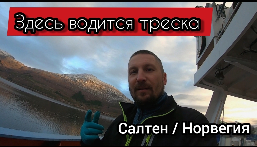 рыбалка в норвегии треска здесь живет треска