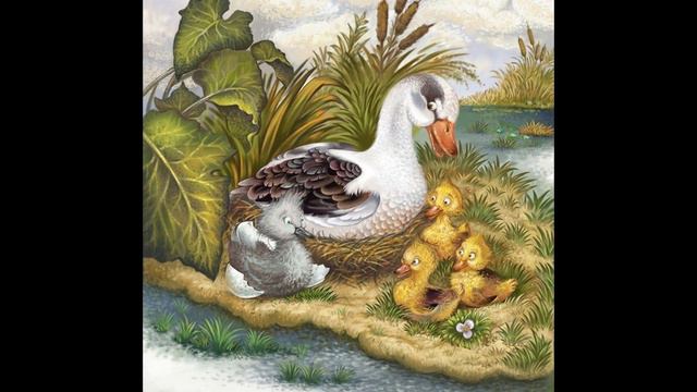 Гадкий утенок.Сказка Г.Андерсена