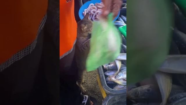 Профессионал своего дела.