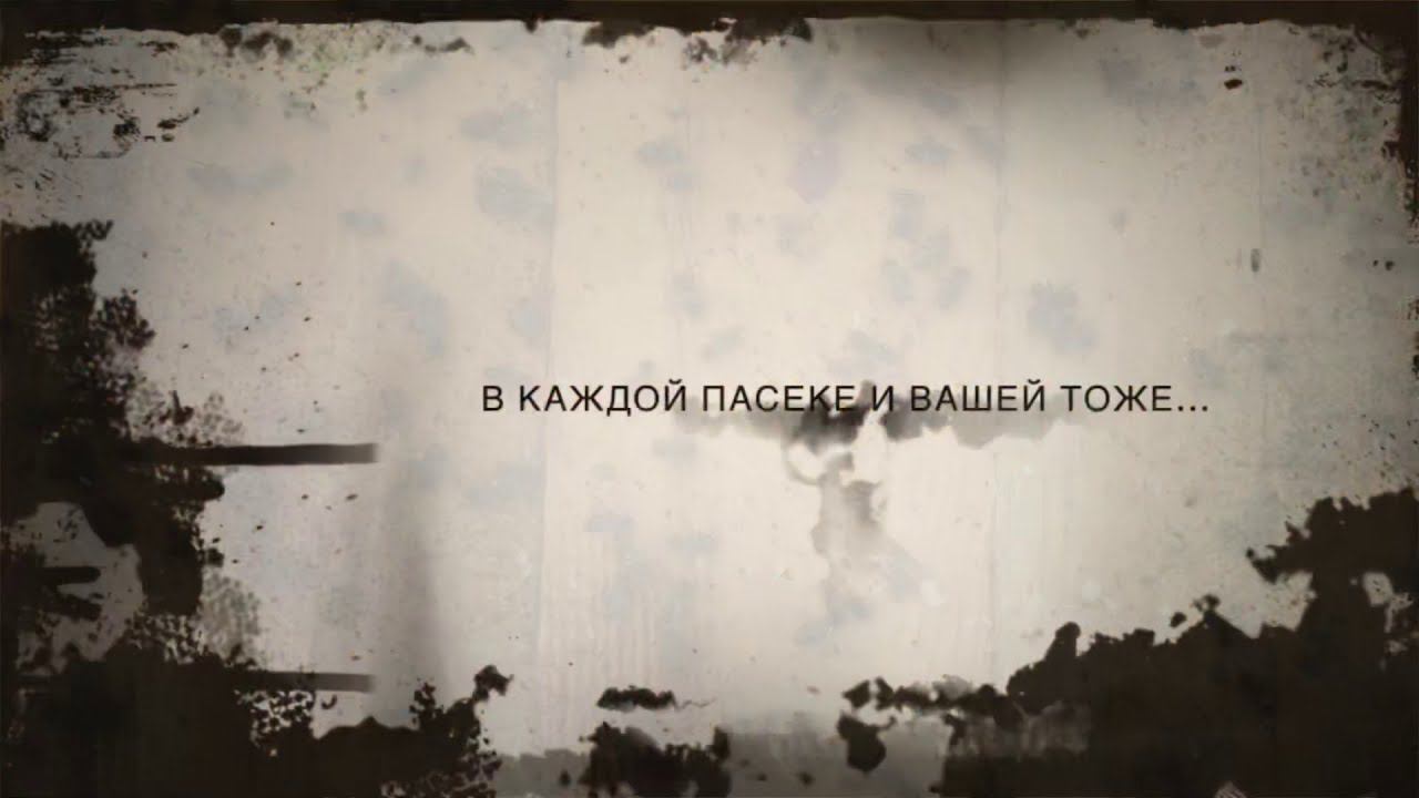 Всем! #pereborovobee #Варроатоз для начинающих пчеловодов #обработка пчел на пасеке