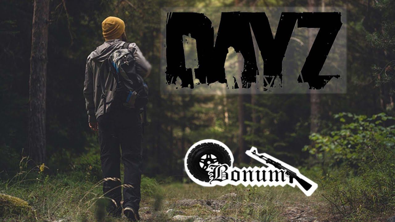 в DayZ на охоте)