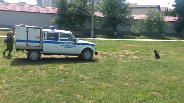 Профессия Кинолог.avi