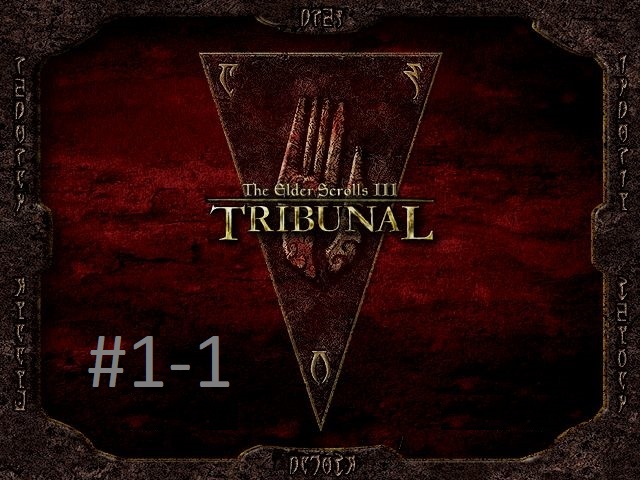 TESIII Tribunal #1-1 Варвар и книга.mp4