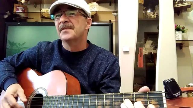 Пройдет зима (кавер) Ильдар Гайнуллин