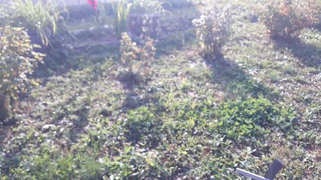 15 соток позора!