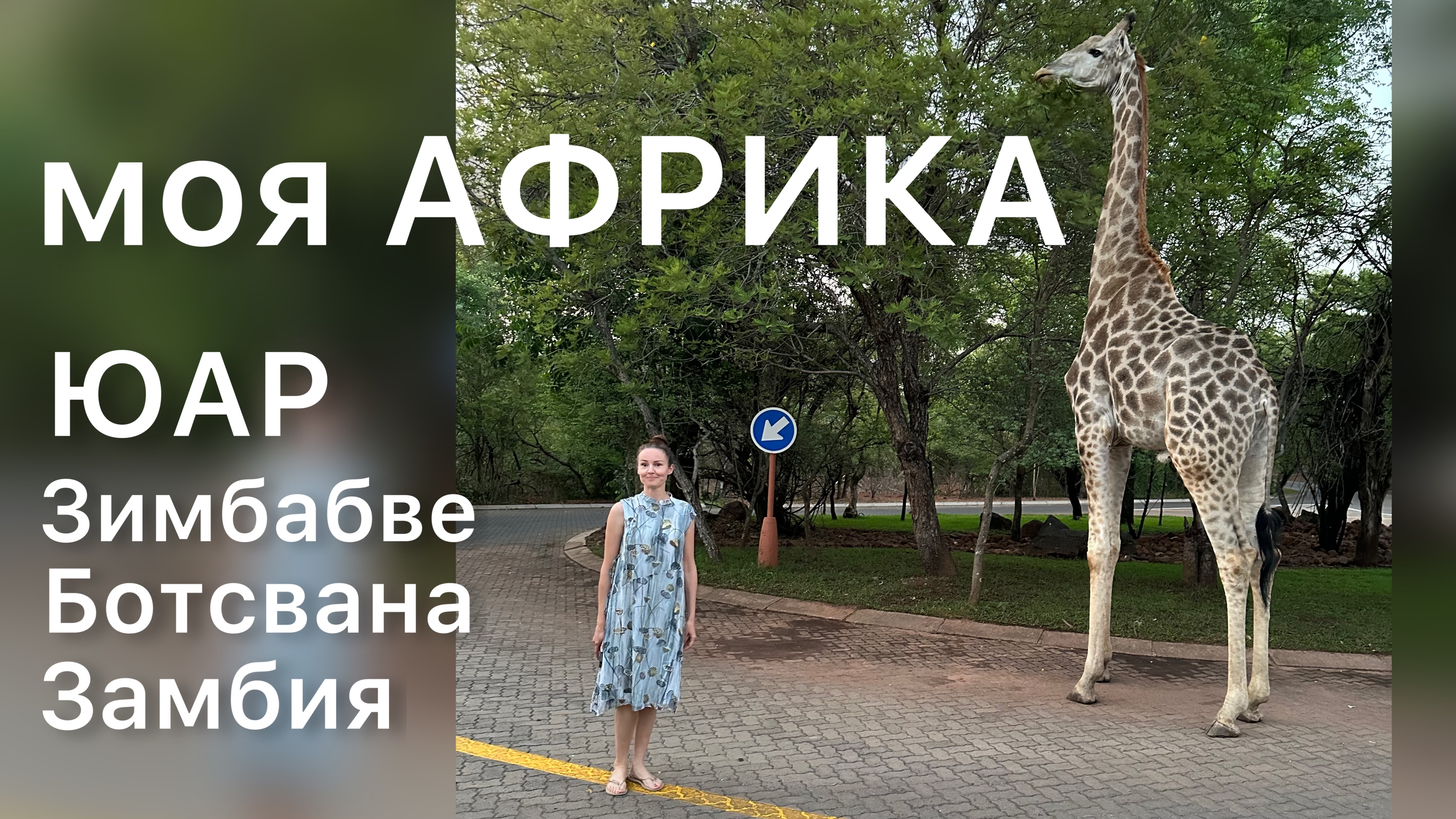 Путешествие по ЮЖНОЙ АФРИКЕ | ОБЗОР | Тропические растения  Розы Пингвины Слоны Киты Котики Львы