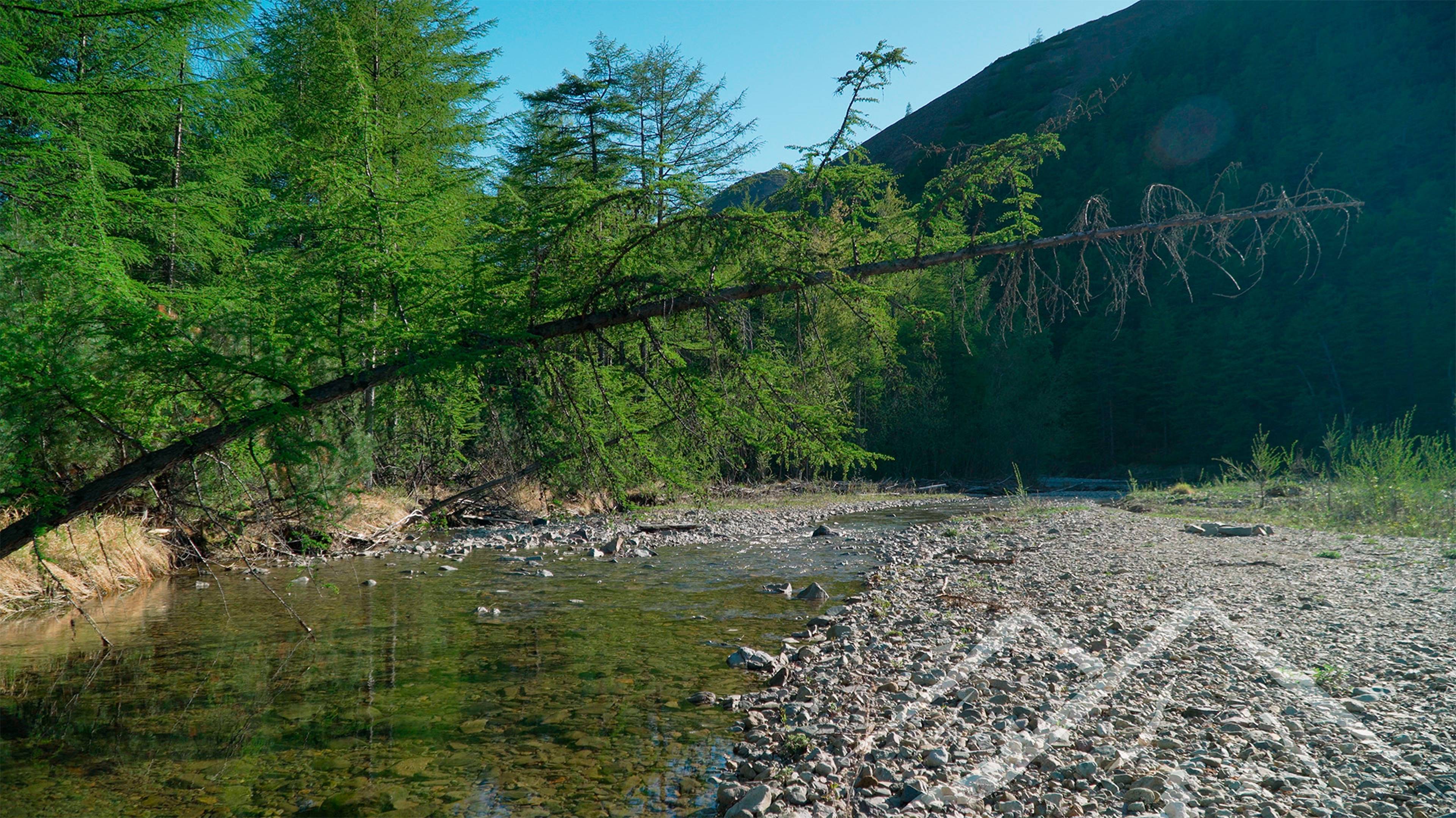 Russia, Magadan region, Khasyn river | Россия, Магаданская область, р. Хасын, 2024г.