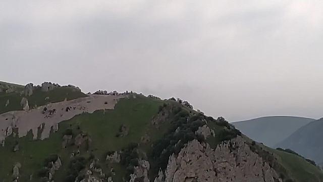 Каменное войско