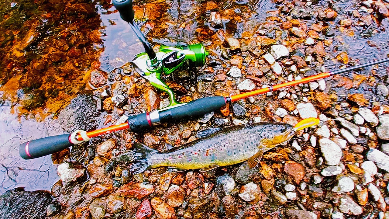 Рыбка в пятнышках.Ручьевая форель на спиннинг в мае.