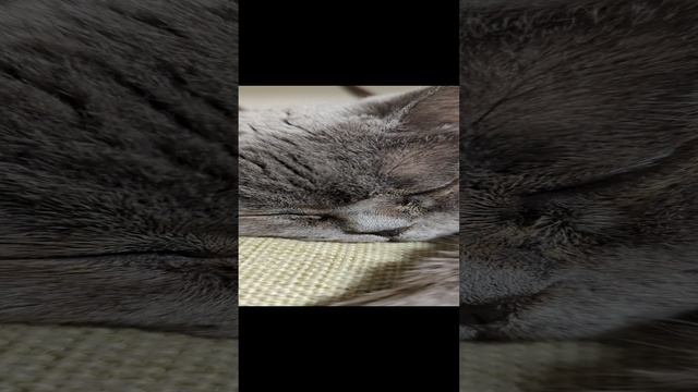 Храпим немножко ?