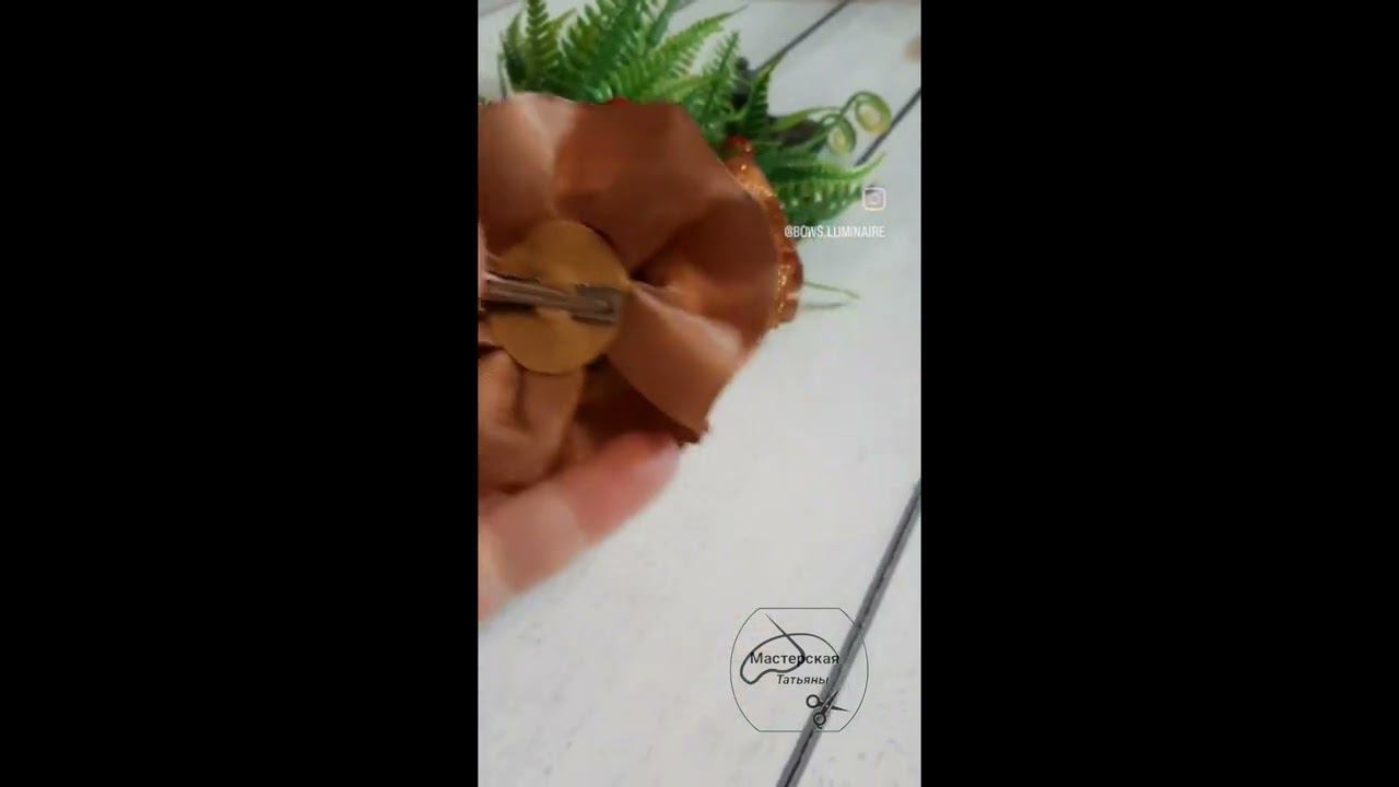 Обзор залокла - шляпка