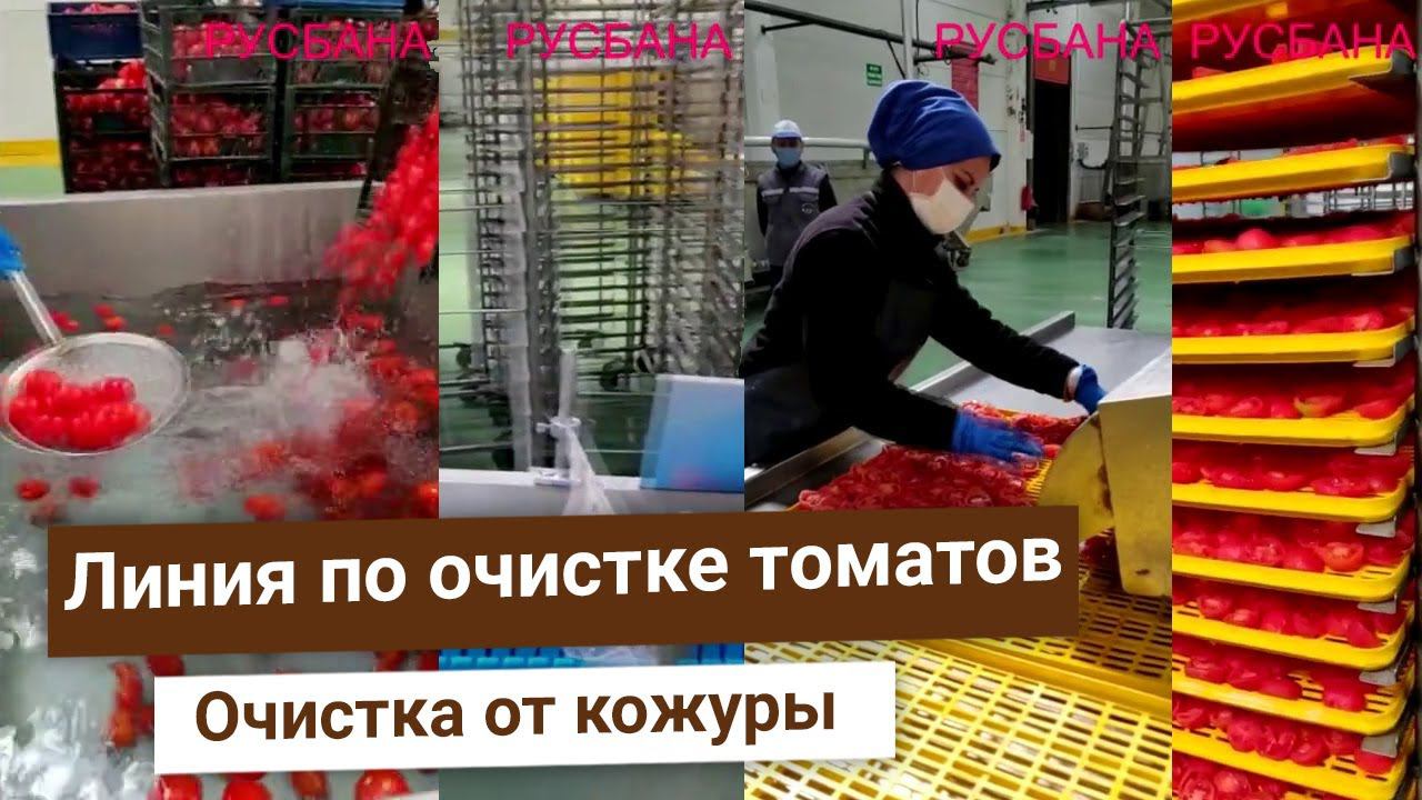 Подготовка томатов к заморозке с предварительной сушкой и очисткой кожуры