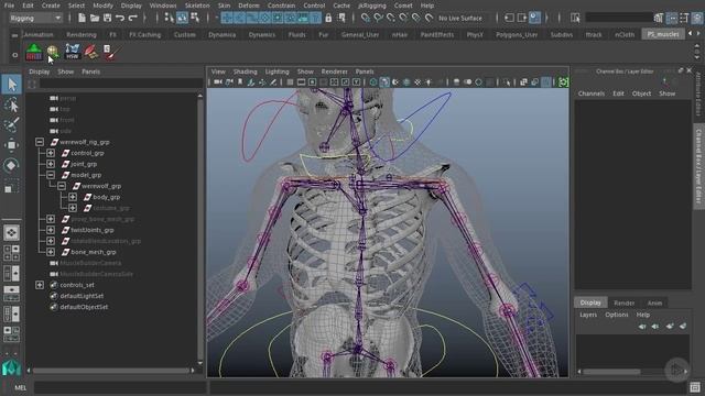 02 04 Building the Muscles