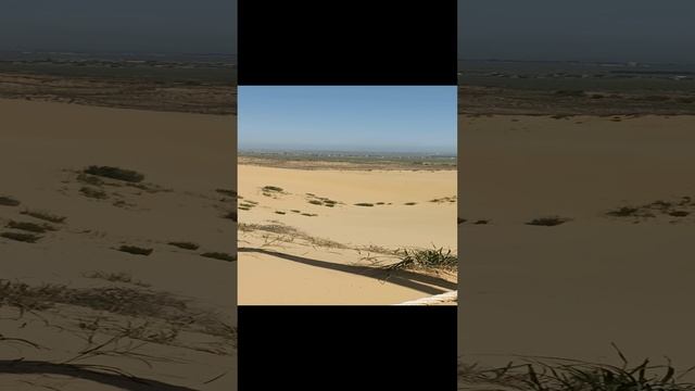 Бархан посреди пустыни. Сарыкум. Дагестан.