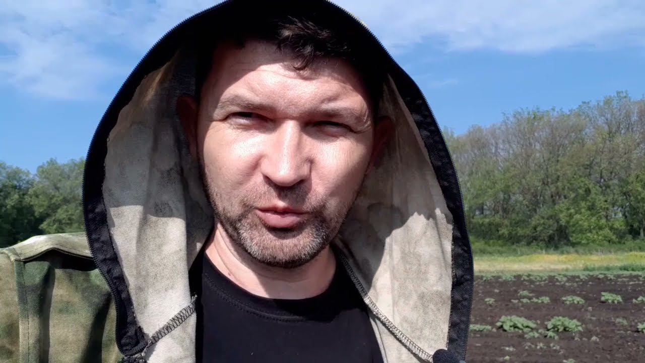 Почему культивация растянулась на неделю / Выращивание арбуза