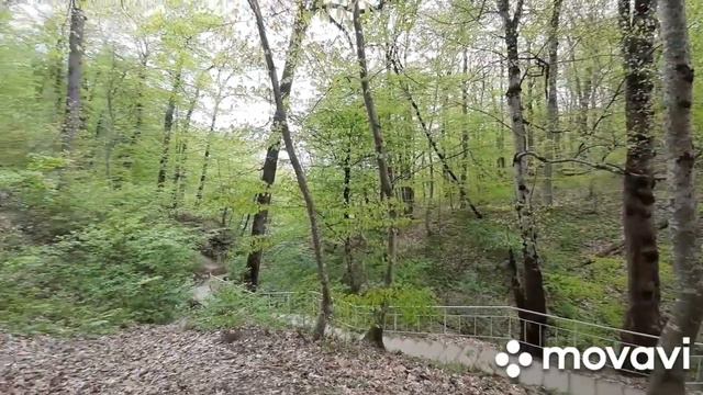 Поездка в Горячий Ключ. Подарки от старшенькой 🌺.mp4