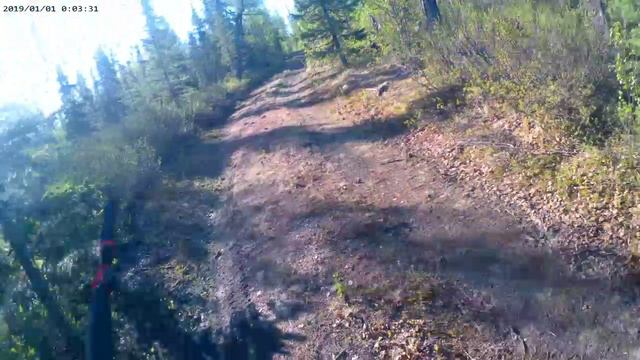 Первый выход на рыбалку в этом году 29.06.2024