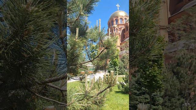 Александровский сад.mp4