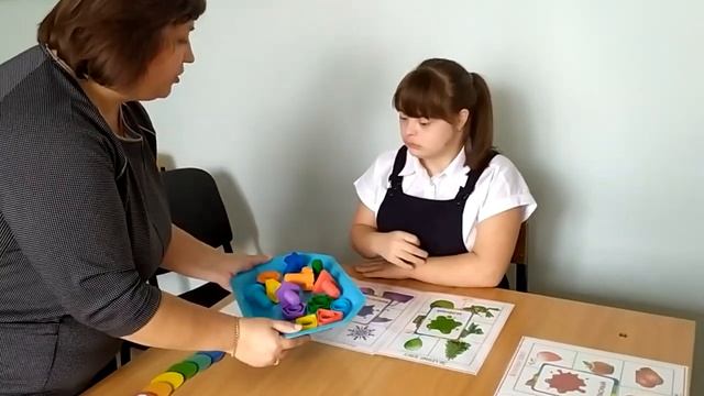 Коррекционное занятие по окружающему миру с обучающимися с ТМНР на тему: "Цвета".