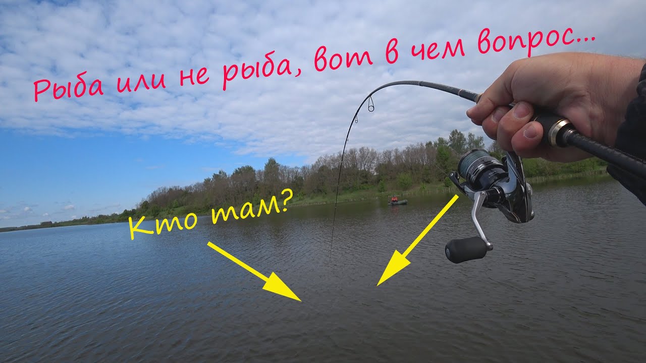 Судак-чудак. Как дважды поймать одного судака.