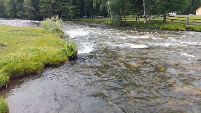 Кемпинг у реки Большой Ильгумень в Горном Алтае