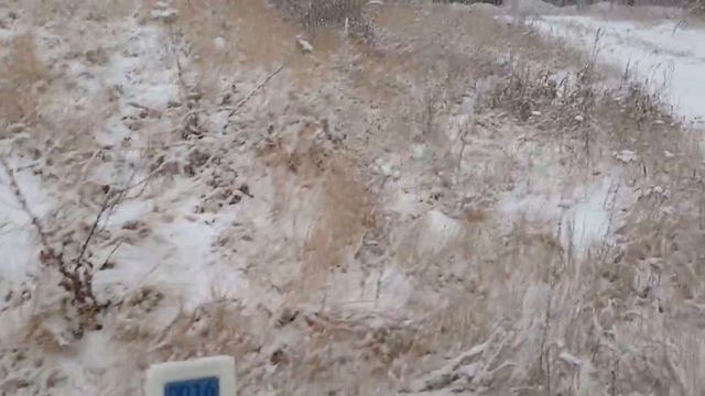 Остров Б проолжение.mp4