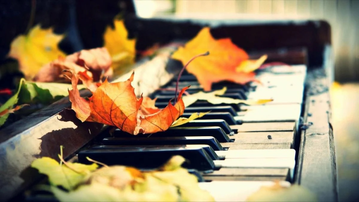 Осеннее настроение.mp4