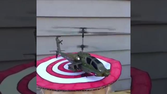 Вертолёт взлетел с головы собаки