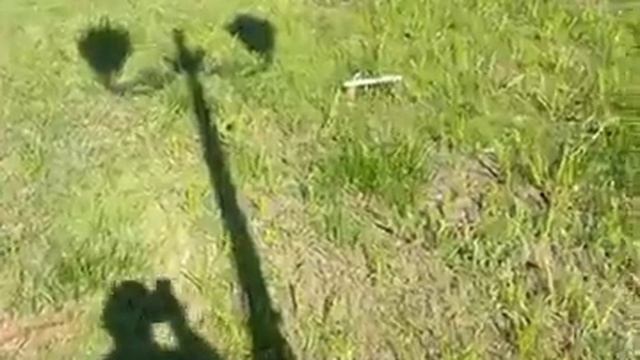 Виктор Шелин. Валя Морилор. 07.06.2021г.