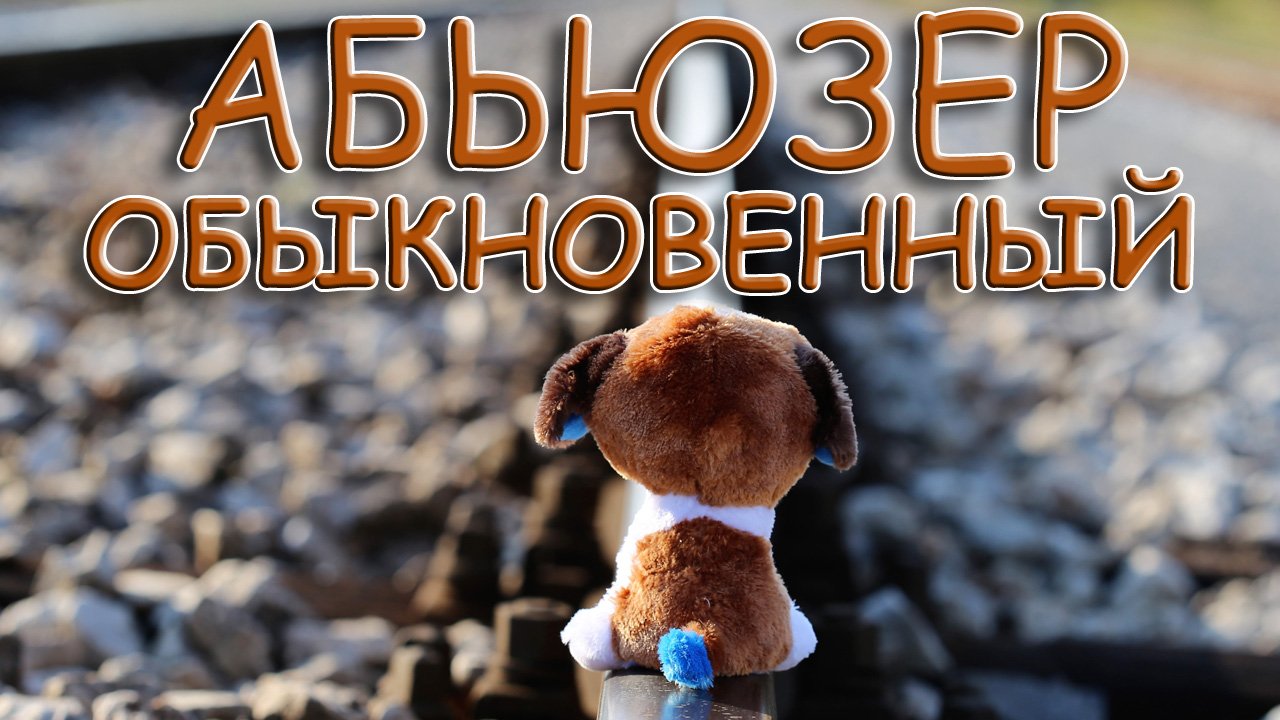 Абьюзер обыкновенный. Как загнобить жену через собаку / Кинология / Зоопсихология / Общество