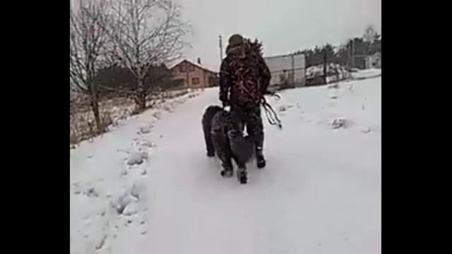 Не реагируем на чужаков за забором