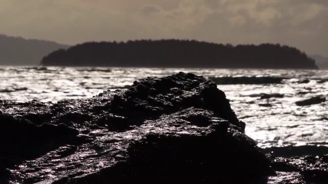 Лунные узлы. Рак-Козерог