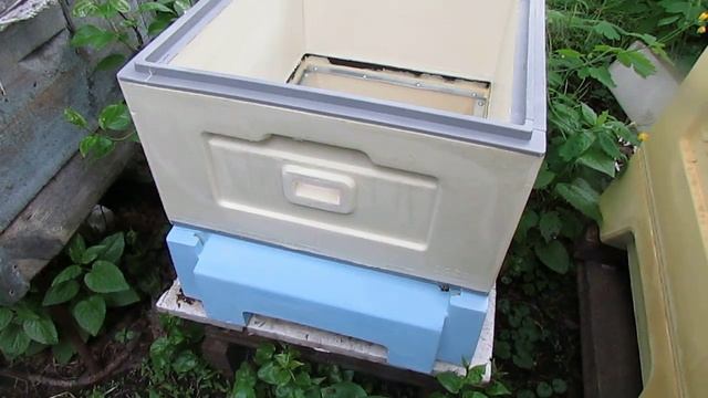 особенности расширения вощиной пчел при похолодании и постановке второго корпуса рута