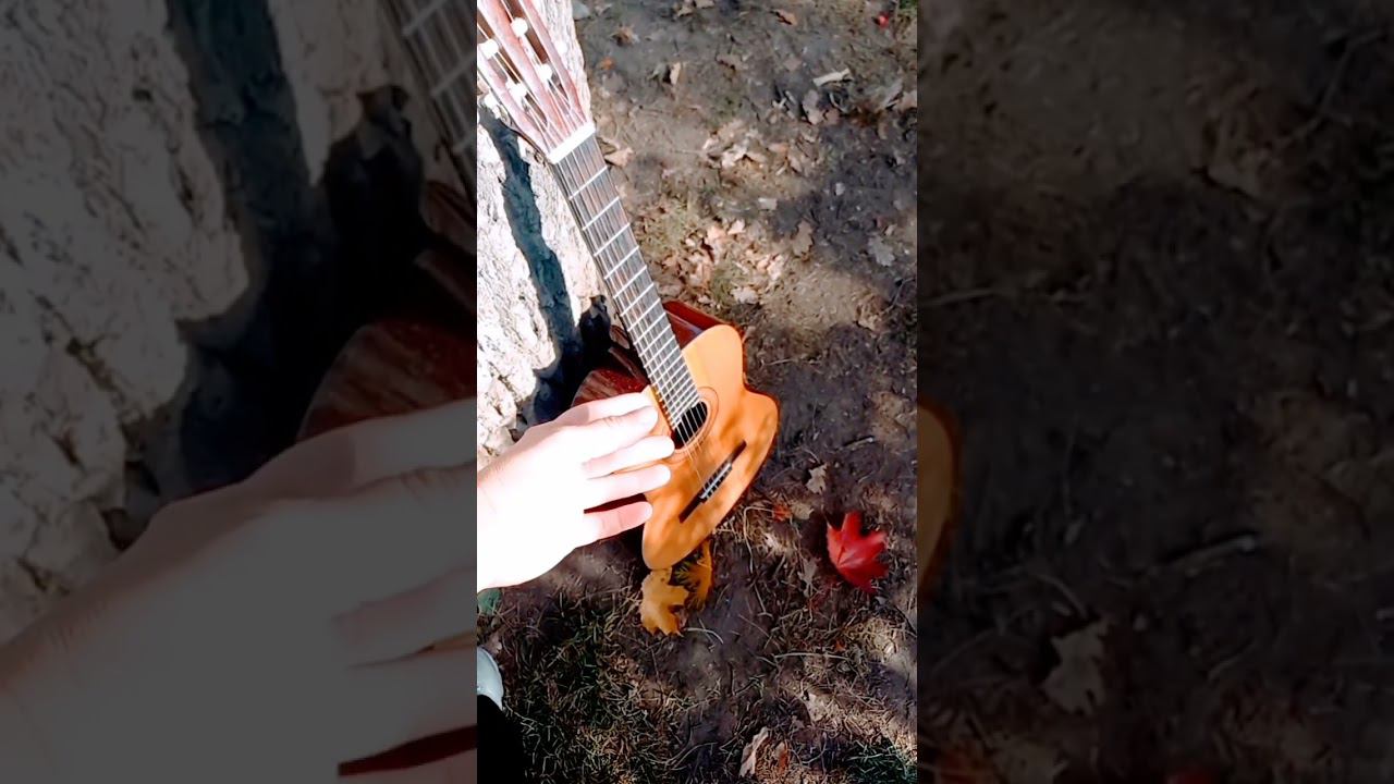 Атмосфера осени #тренд #монтаж #осень #листья #актриса #рилс #шортс #art #magic