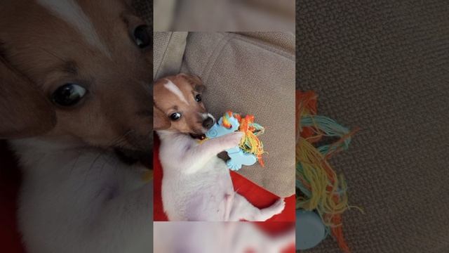 А у нас новый друг!!! ??? ???