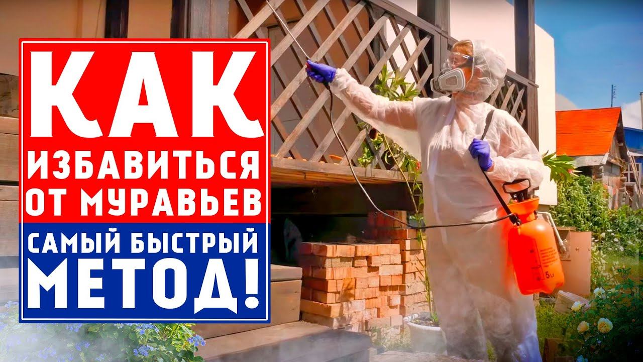 Как избавиться от муравьев на даче. Контактный способ. Часть 3
