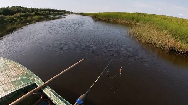 облавливаю новые места на силикон.