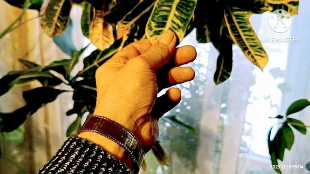 90 Лет , День рождения Бугровой Анны Ивановны