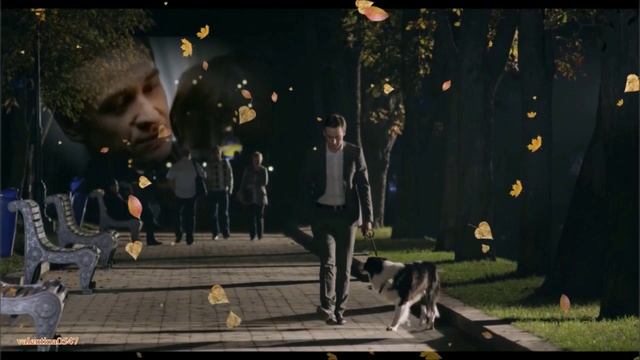 Костёр аллей